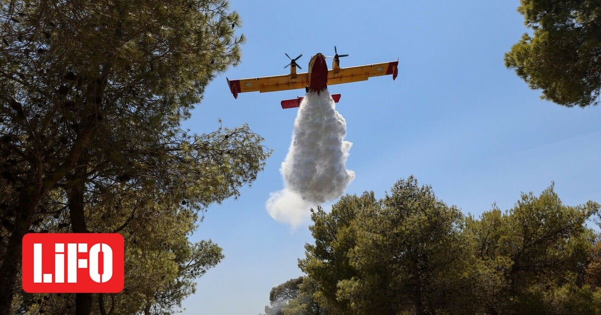 Φωτιά τώρα στην Αχαΐα: Μεγάλη κινητοποίηση της Πυροσβεστικής - «Ήχησε» το 112 | LiFO